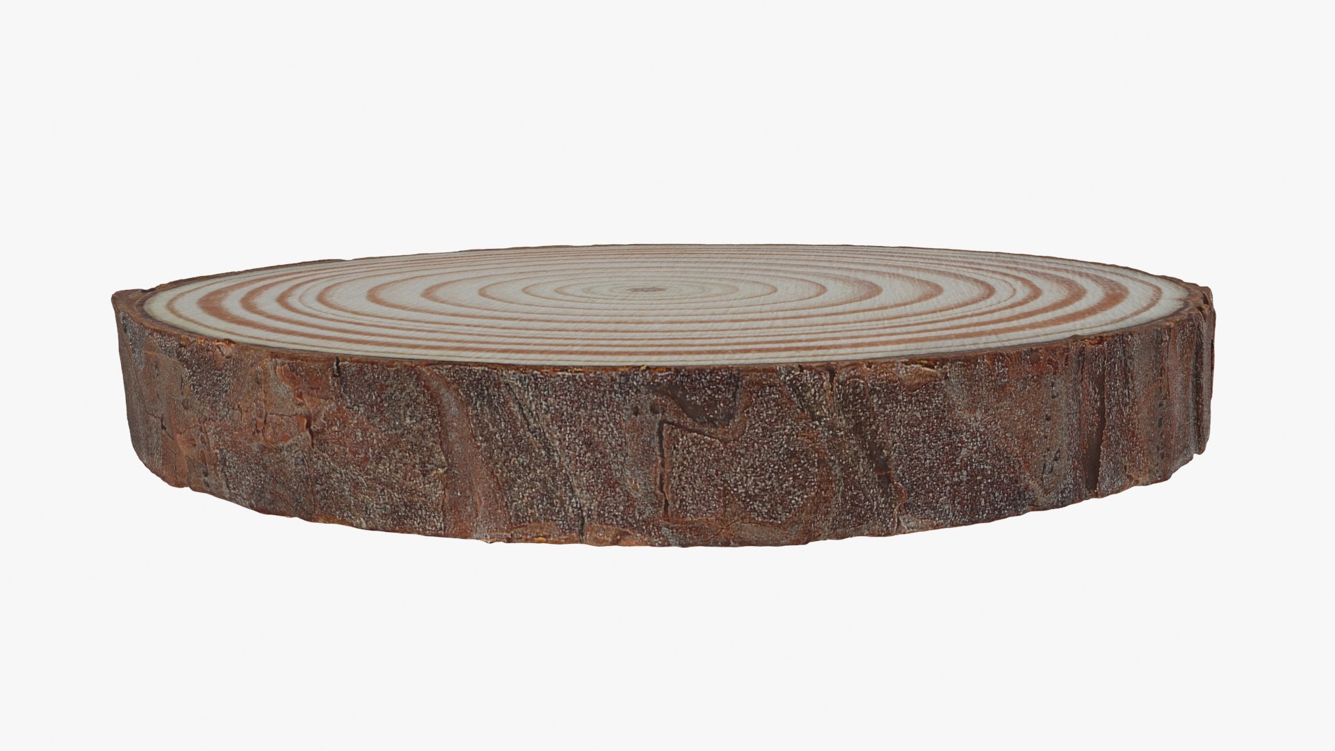 3D Wood Log Slice 02 - TurboSquid 2147987