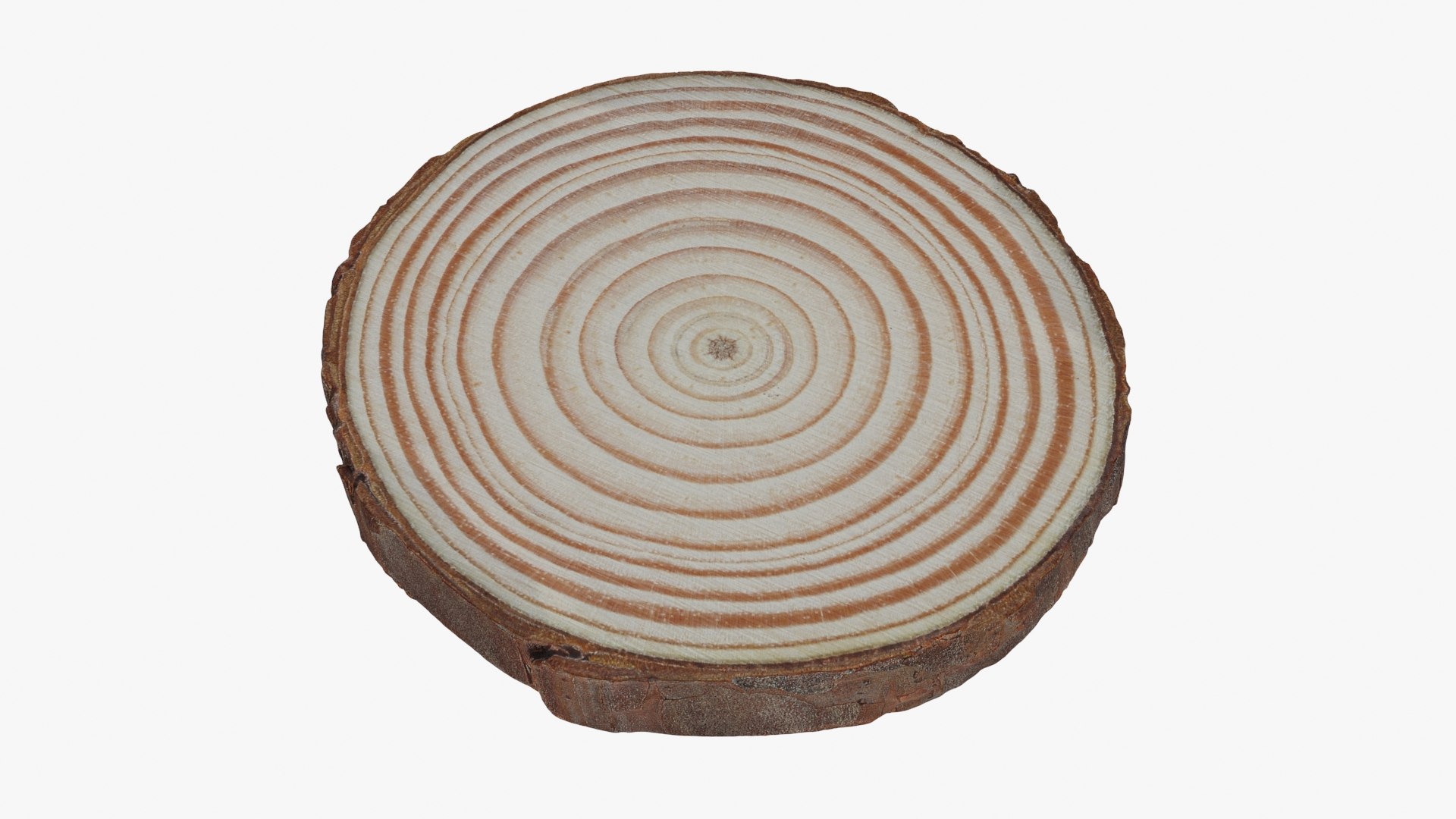 3D Wood Log Slice 02 - TurboSquid 2147987