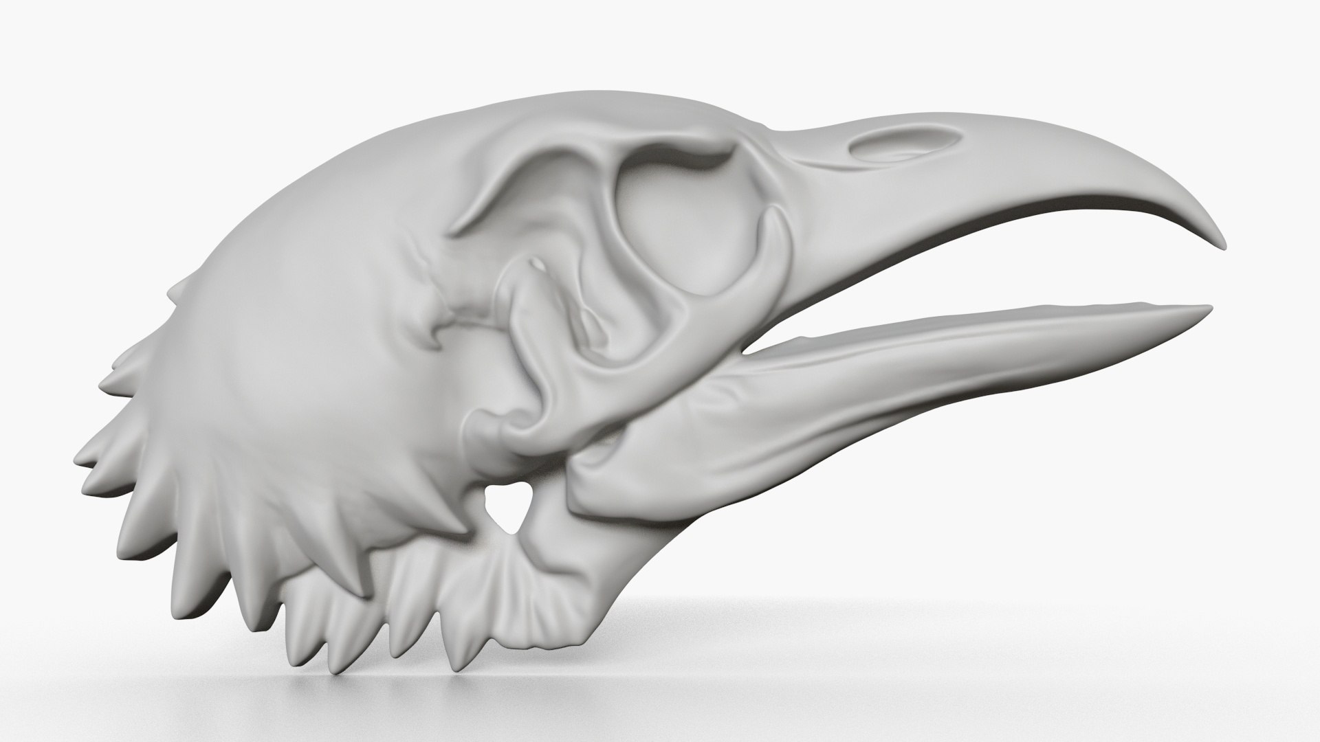 3D Crow Skull Relief 2 Model - TurboSquid 2287519