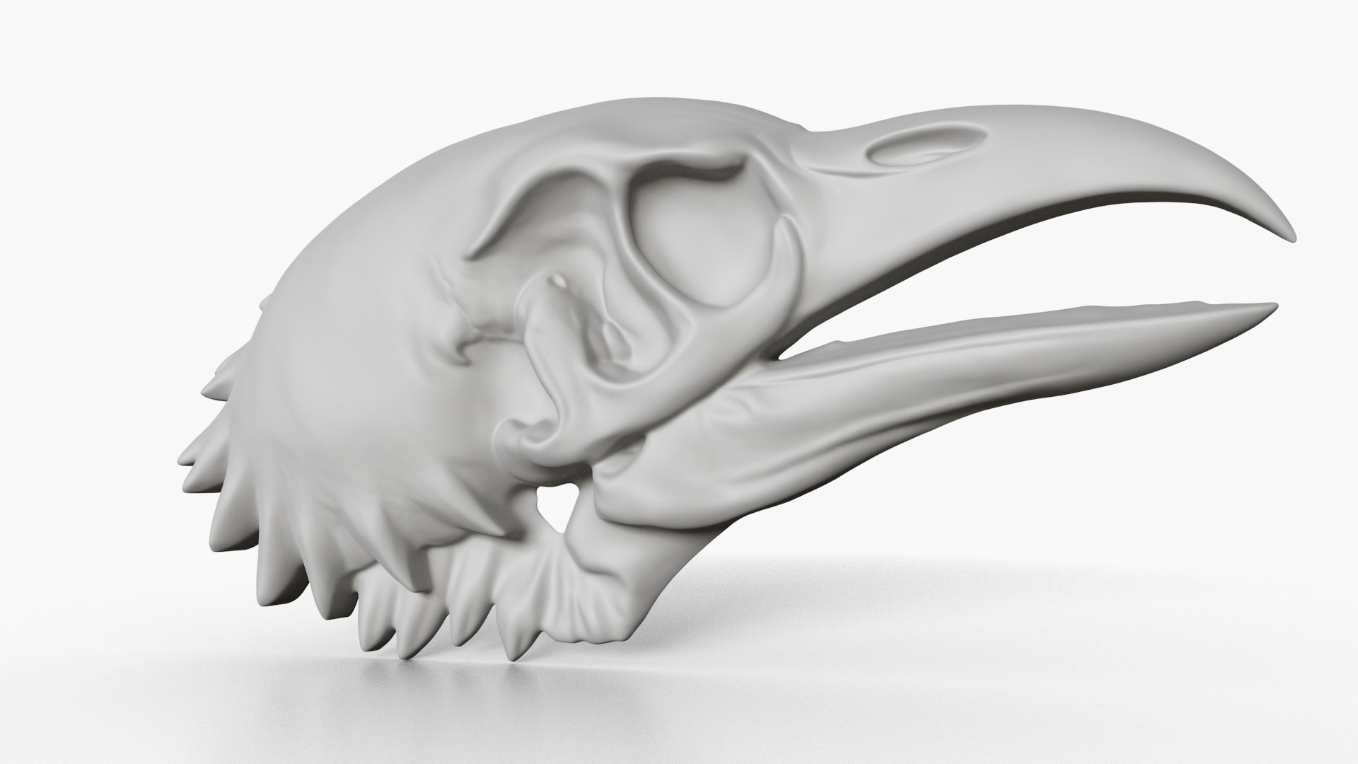 3D Crow Skull Relief 2 Model - TurboSquid 2287519