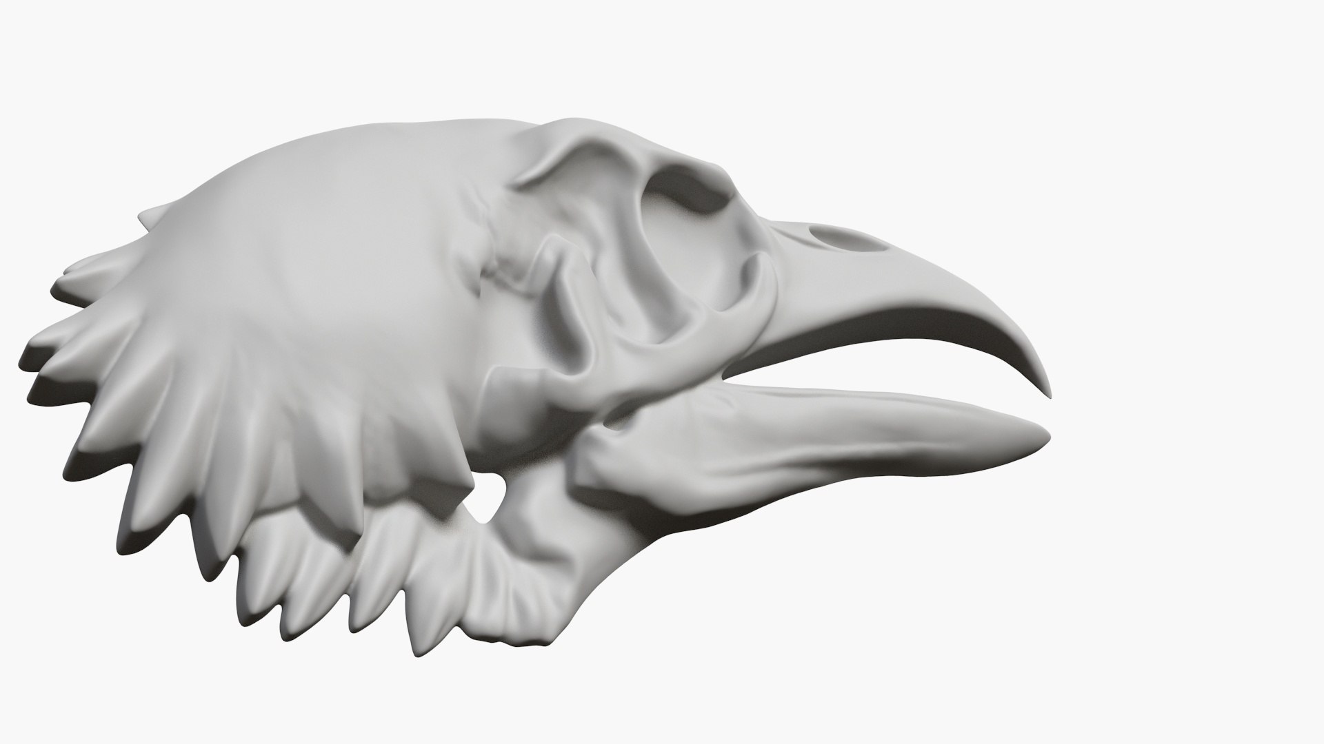 3D Crow Skull Relief 2 Model - TurboSquid 2287519