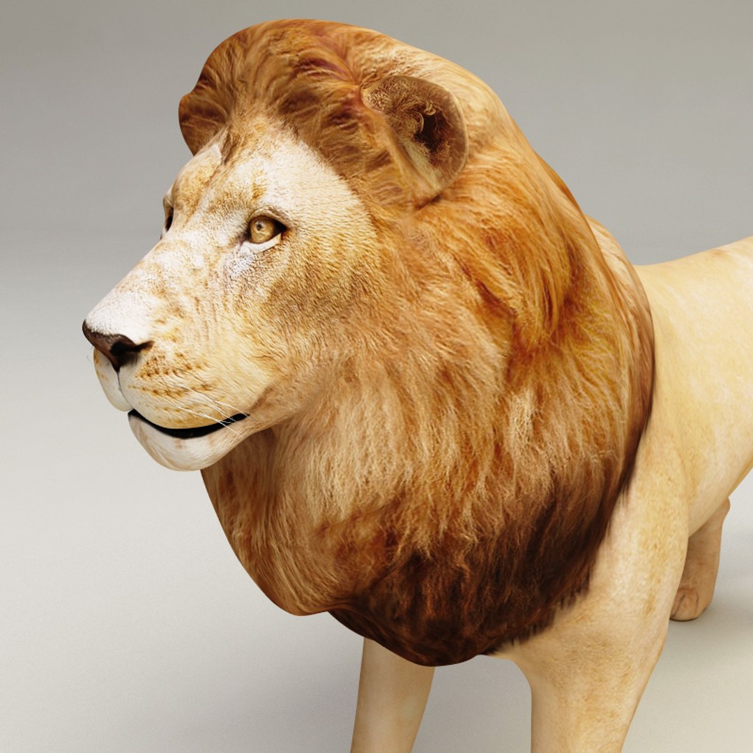 3ds lion modelled