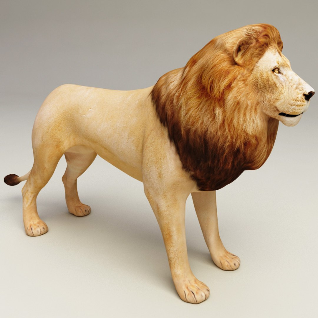 3ds lion modelled