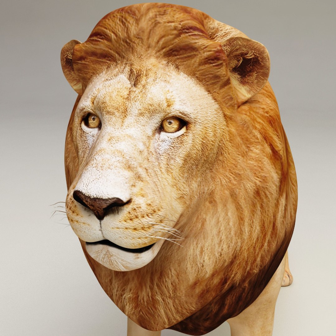 3ds lion modelled