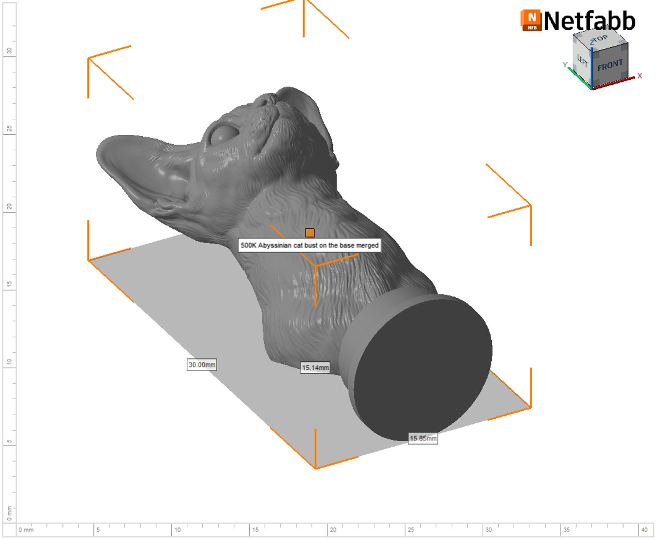 Abyssinian Cat Bust 3D Model - TurboSquid 2384972