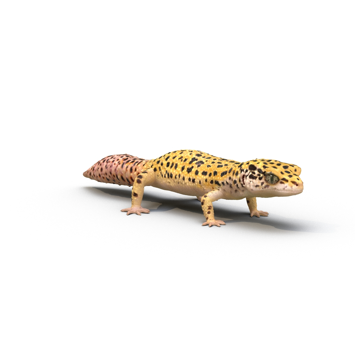 Lizards rigged 2 3D model - TurboSquid 1514886