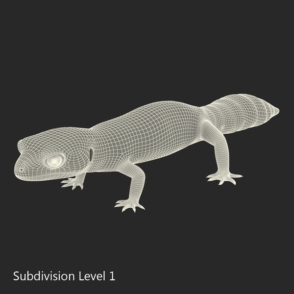 Lizards rigged 2 3D model - TurboSquid 1514886