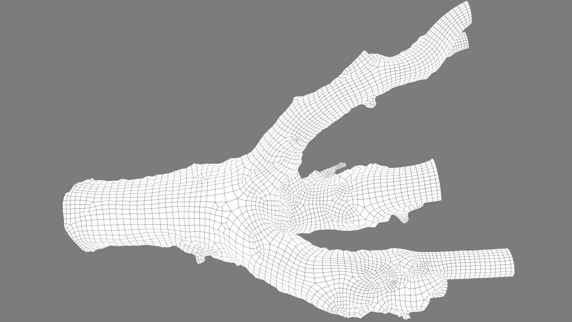 3D Scanned Tree Trunk 06 Model - TurboSquid 2115370