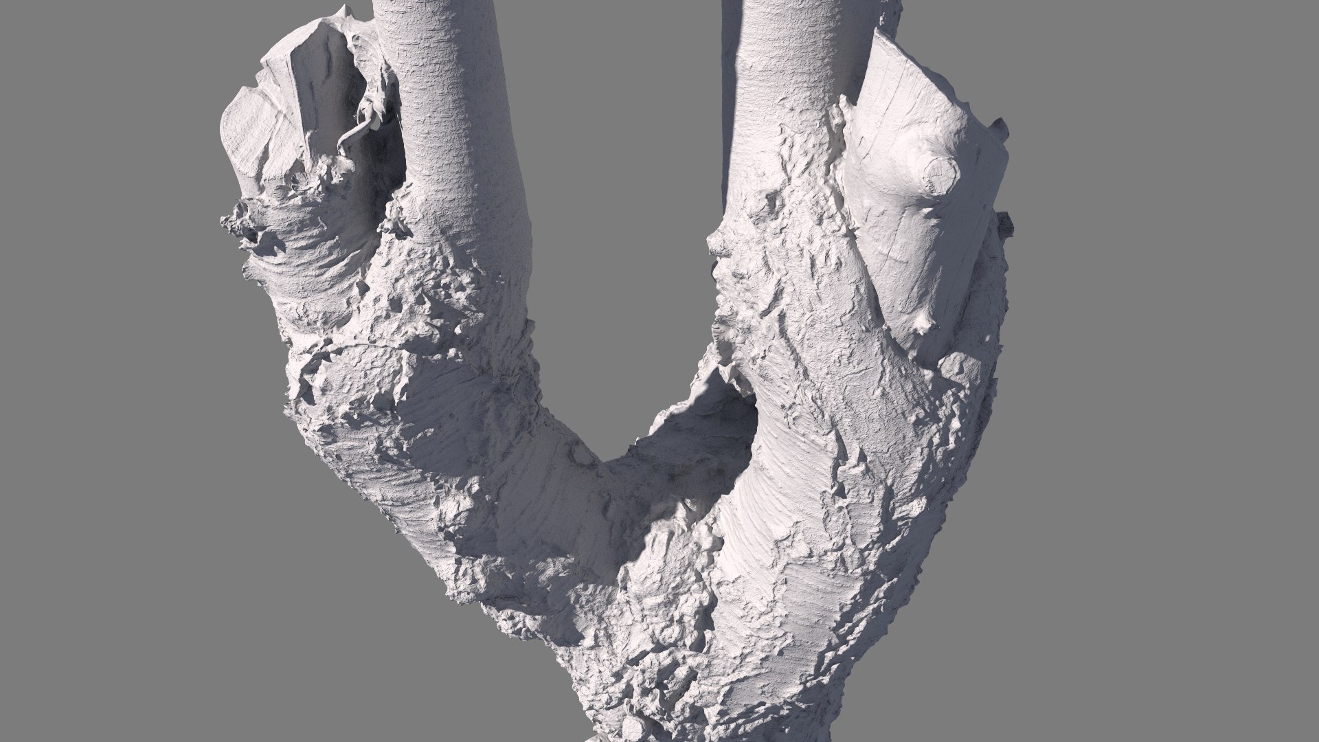 3D Scanned Tree Trunk 06 Model - TurboSquid 2115370