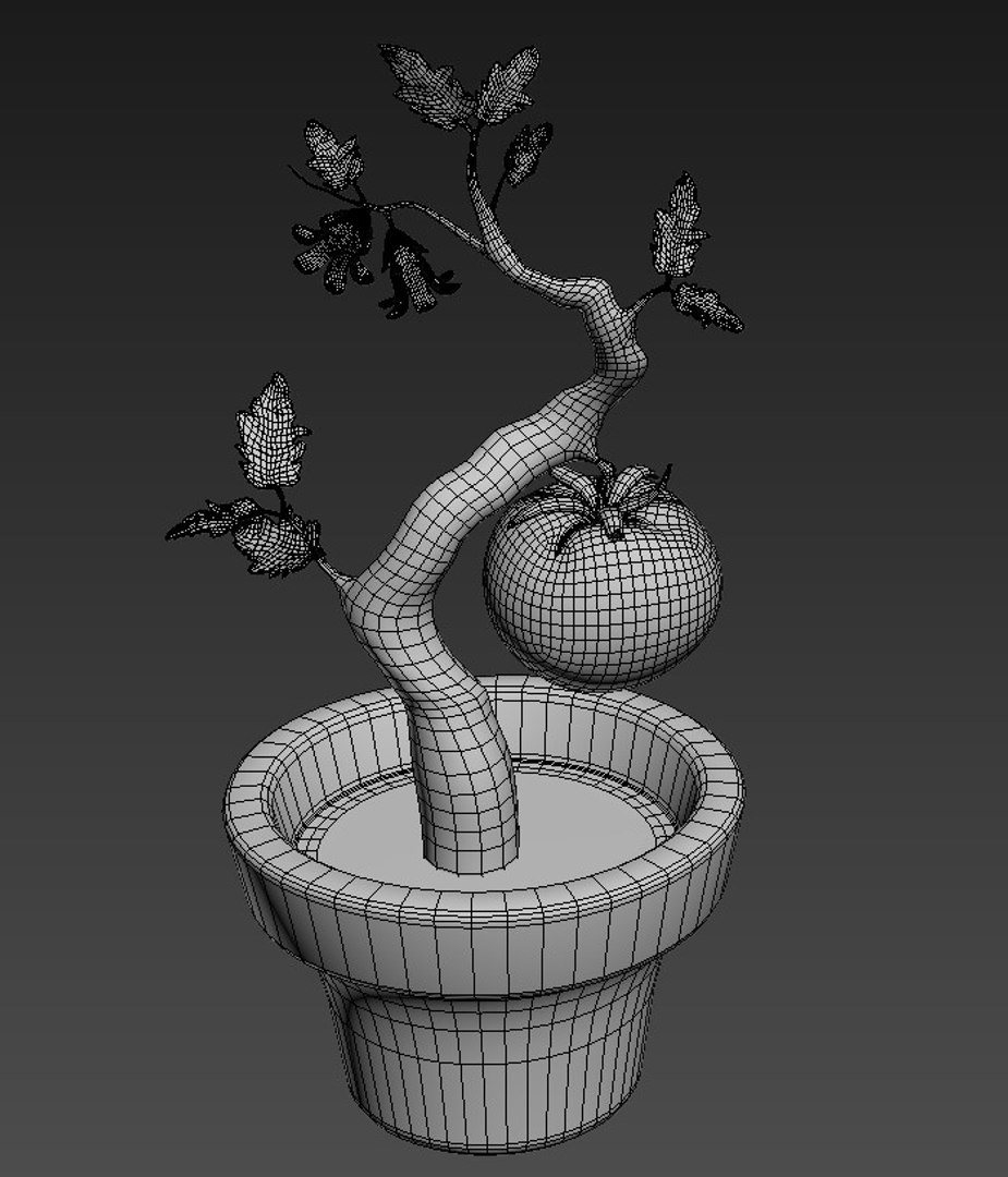 Tomato tree production 3D model - TurboSquid 1548604