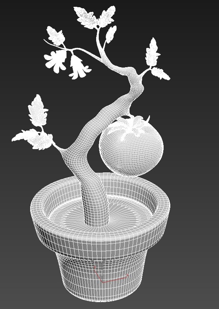 Tomato tree production 3D model - TurboSquid 1548604