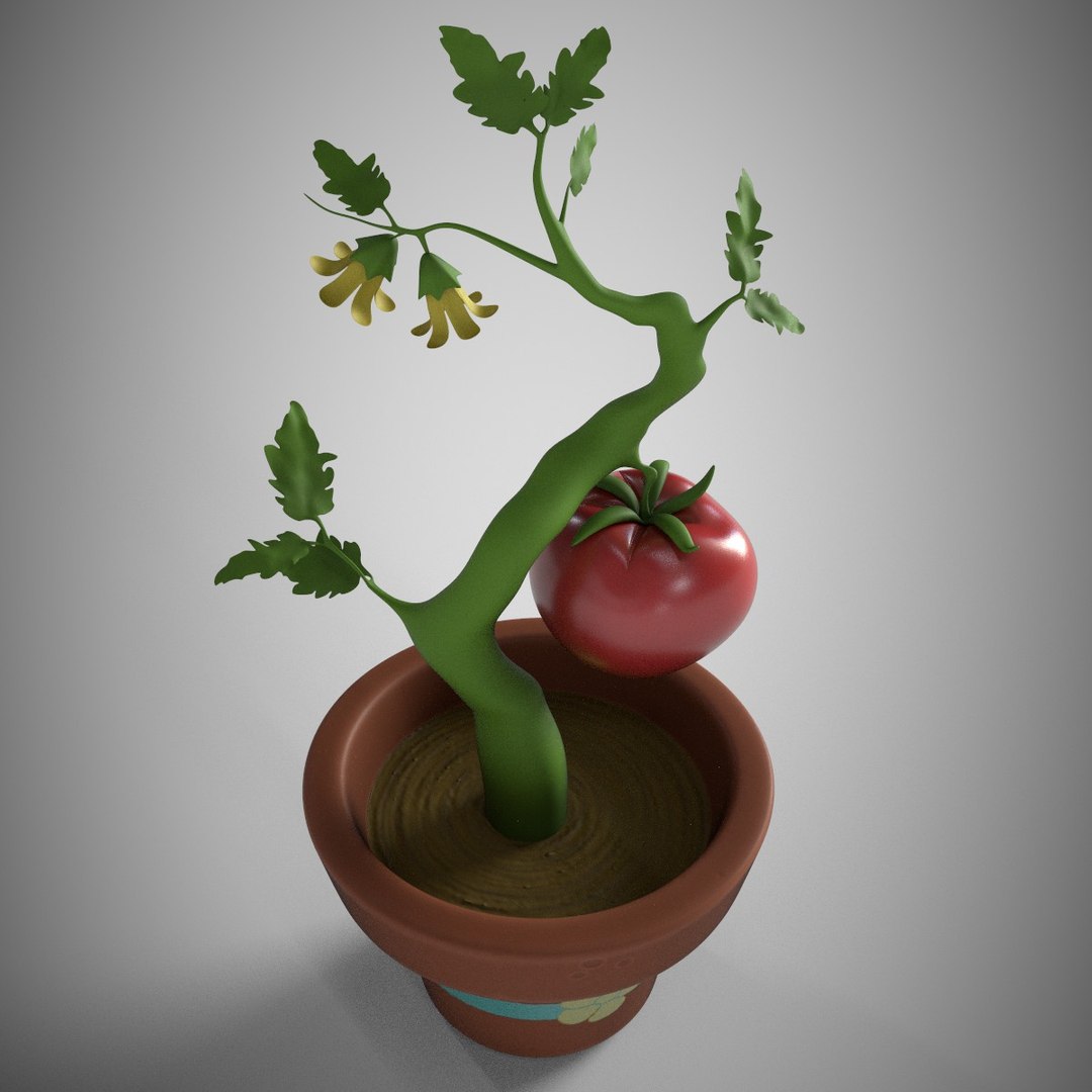Tomato tree production 3D model - TurboSquid 1548604