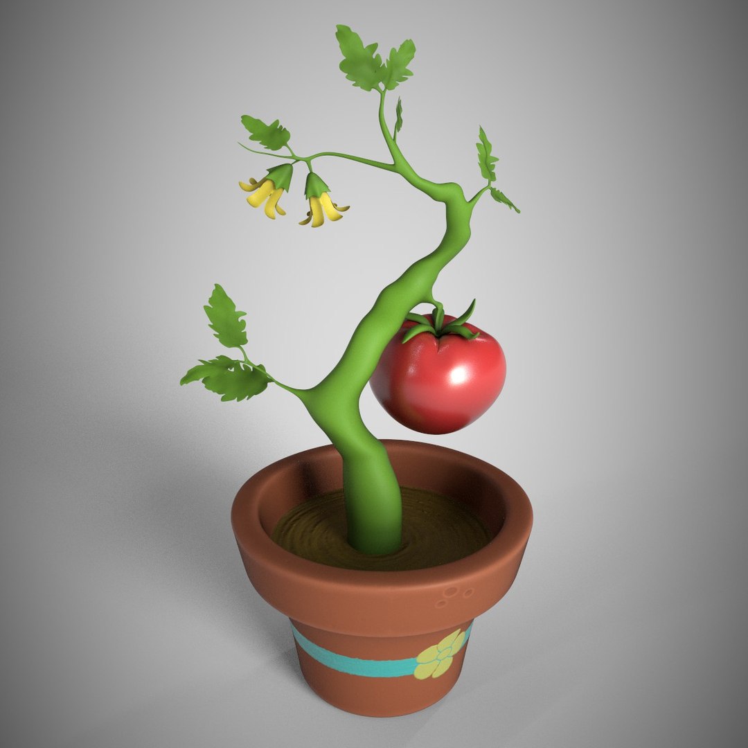 Tomato tree production 3D model - TurboSquid 1548604
