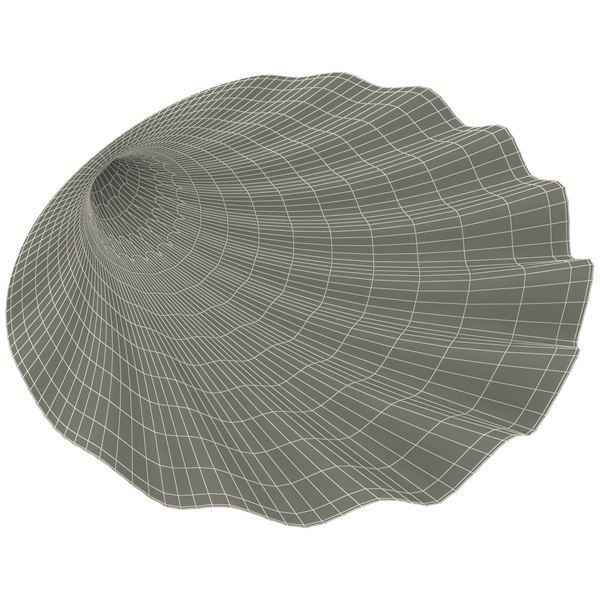 clam seashell 3d model