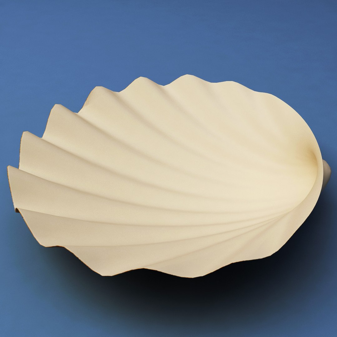 Clam Seashell 3d Model