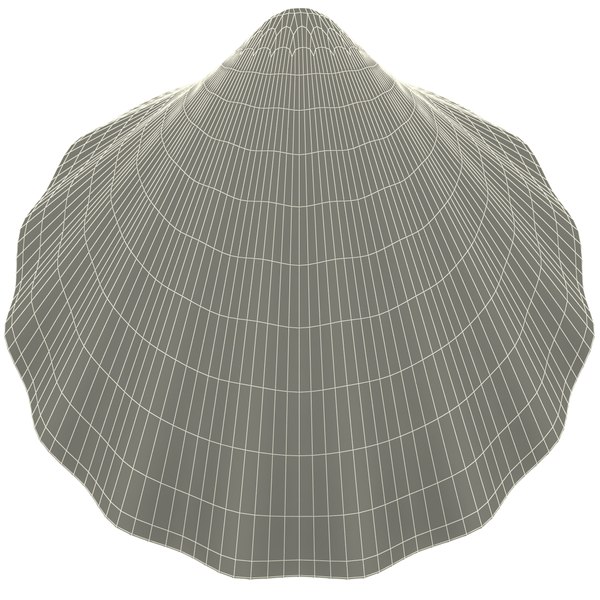 modelo 3d Clam Seashell - TurboSquid 527319