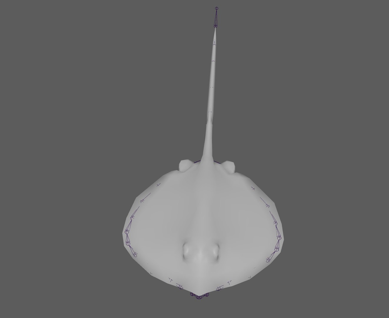 Stingray Fish Rig 3D Model - TurboSquid 2287041