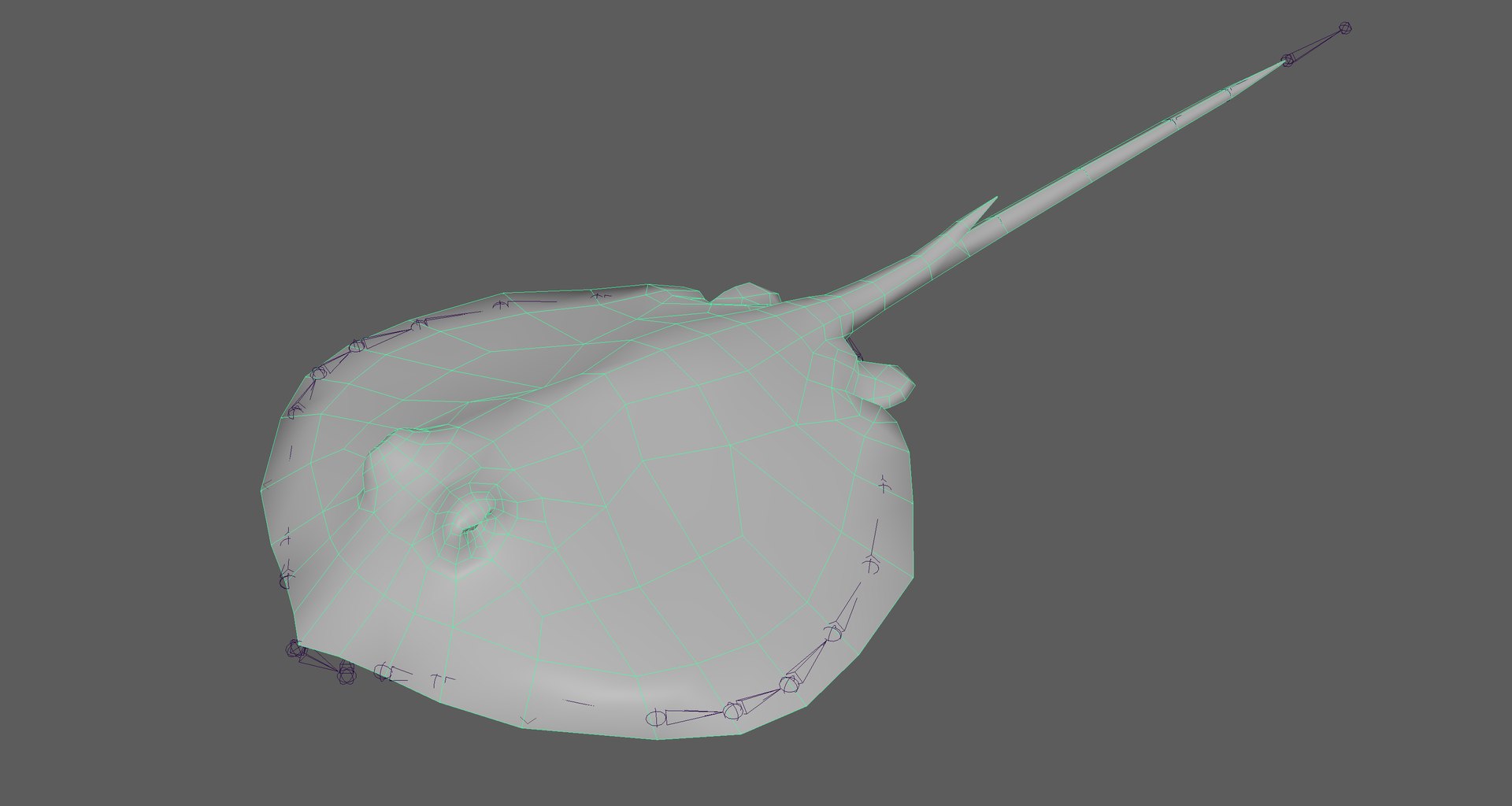 Stingray Fish Rig 3D Model - TurboSquid 2287041
