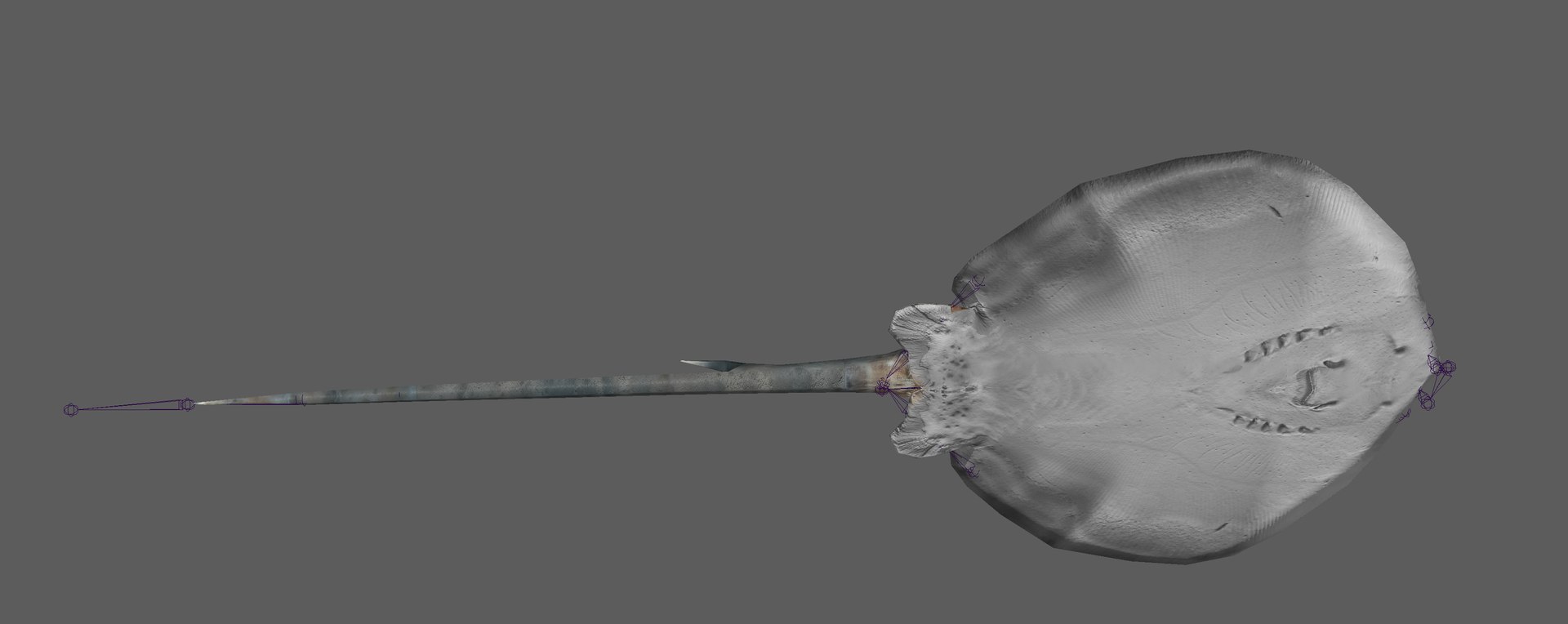 Stingray Fish Rig 3D Model - TurboSquid 2287041