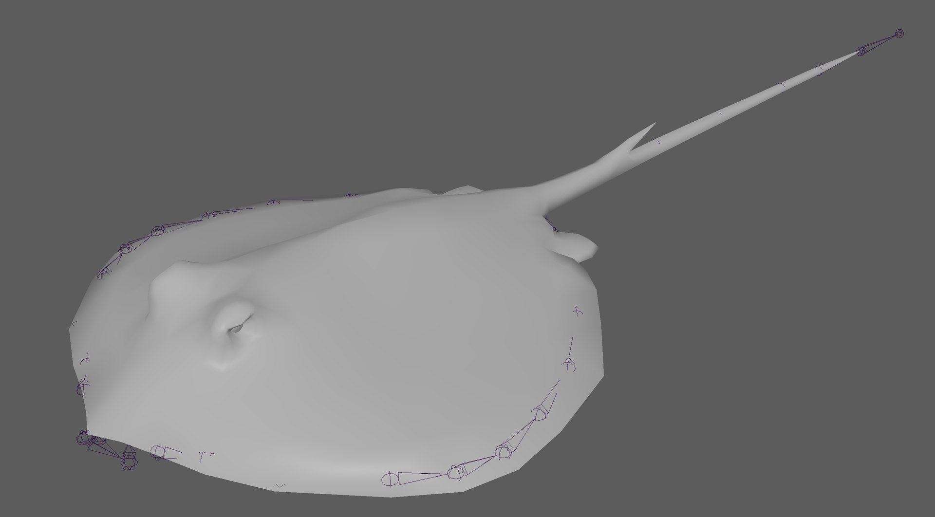 Stingray Fish Rig 3D Model - TurboSquid 2287041
