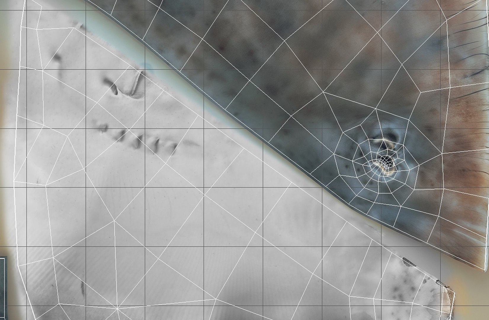 Stingray Fish Rig 3D Model - TurboSquid 2287041