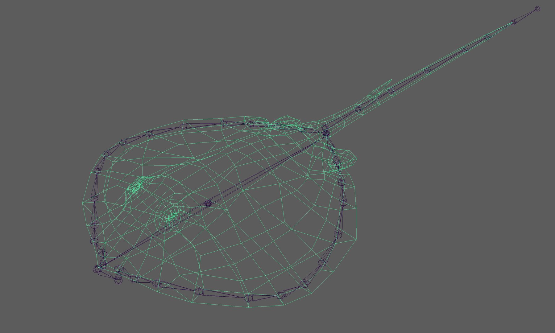 Stingray Fish Rig 3D Model - TurboSquid 2287041