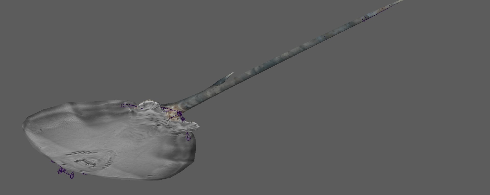 Stingray Fish Rig 3D Model - TurboSquid 2287041