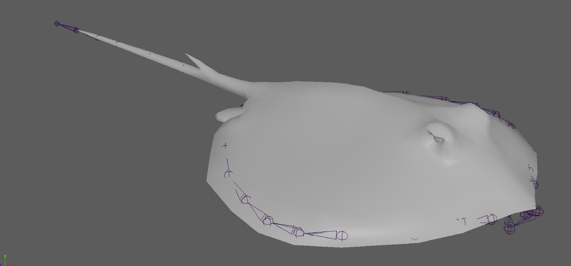 Stingray Fish Rig 3D Model - TurboSquid 2287041