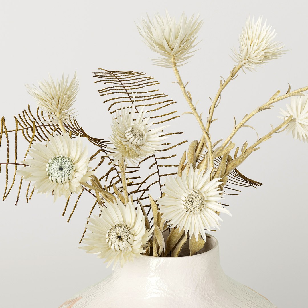 3D Anthropologie - TurboSquid 1548722