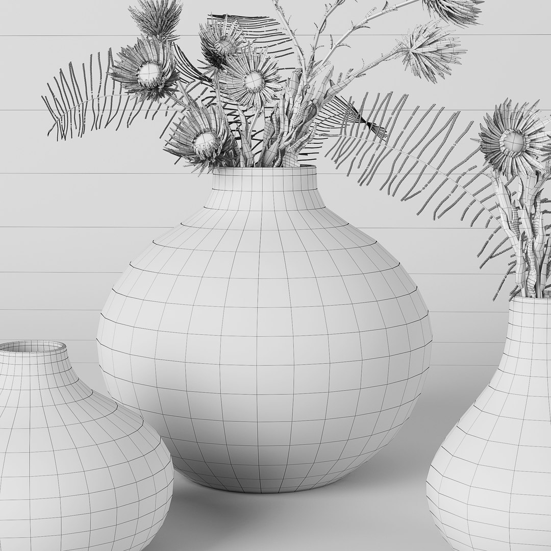 3D Anthropologie - TurboSquid 1548722