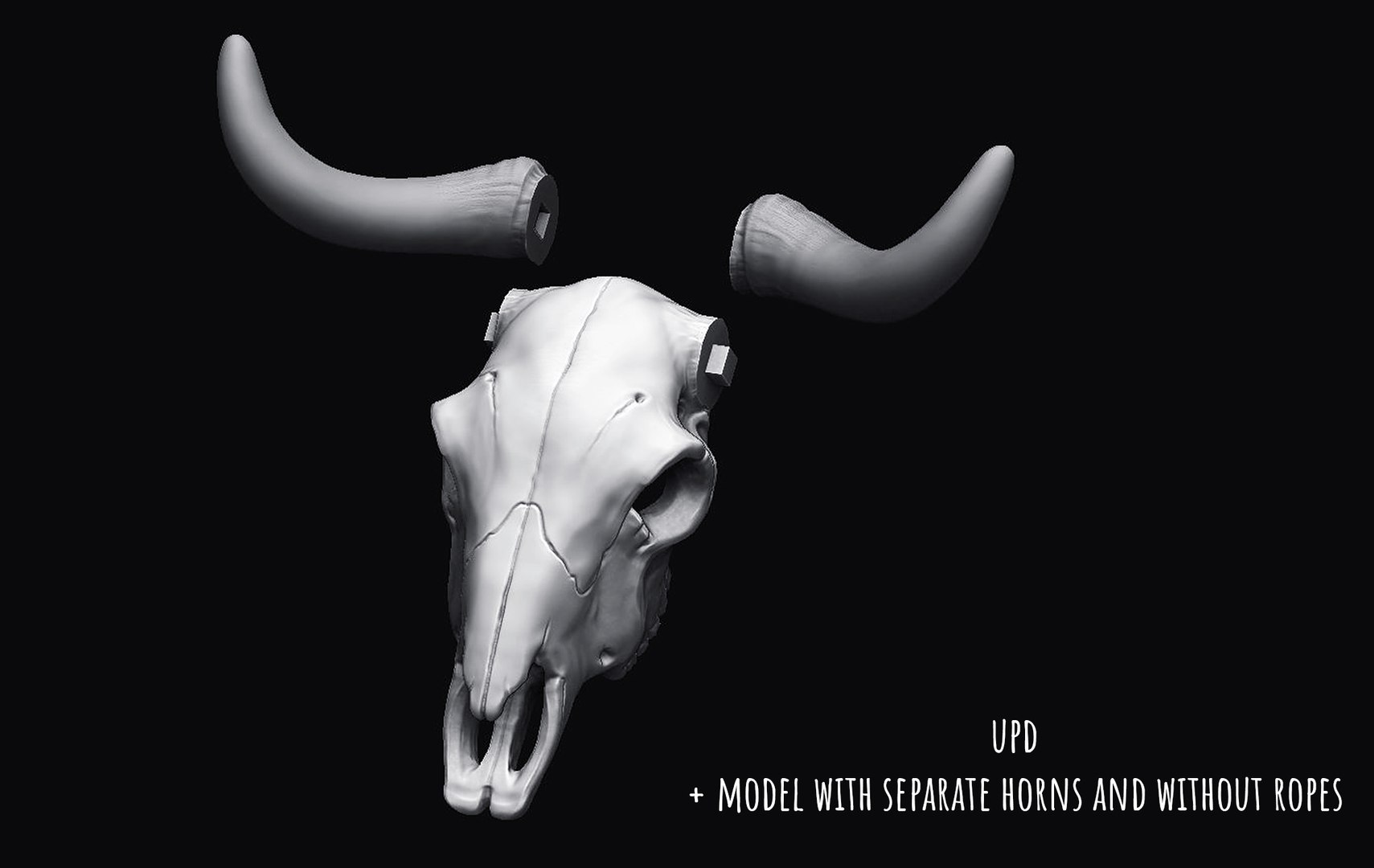 Bull Skull With Separate Horns Model - TurboSquid 2182479