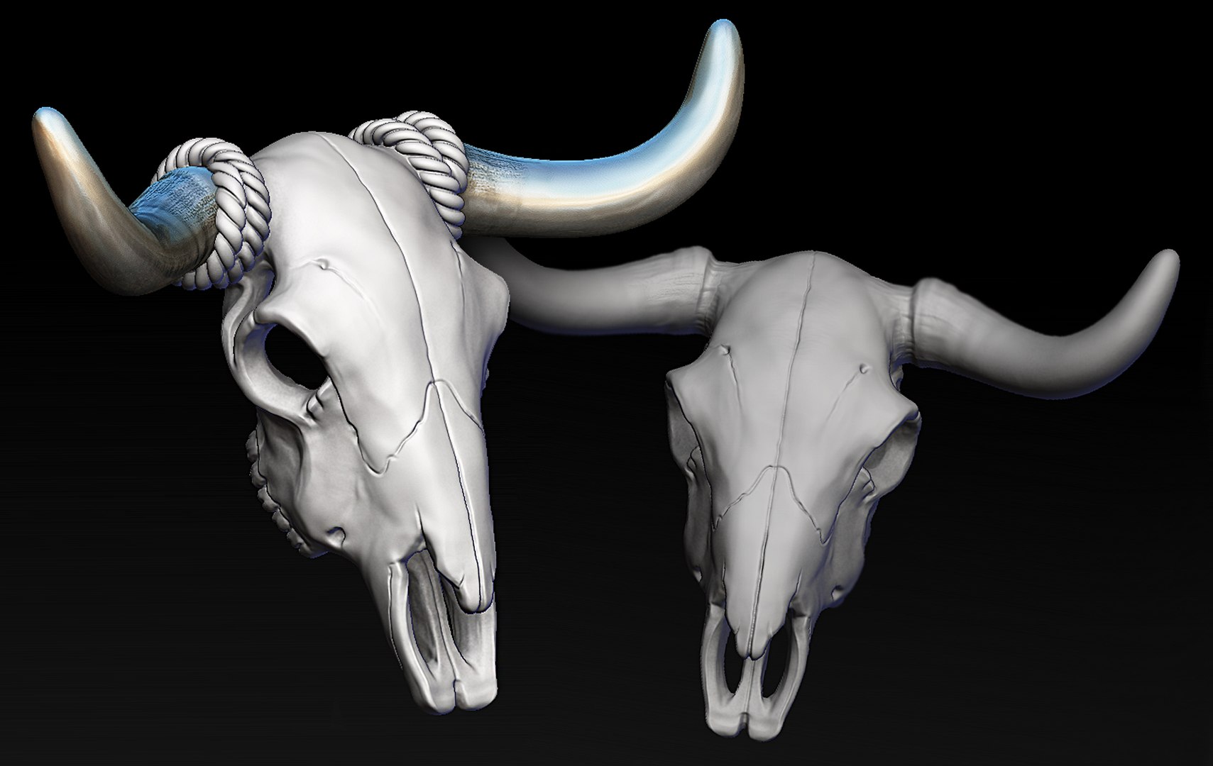Bull Skull With Separate Horns Model - TurboSquid 2182479