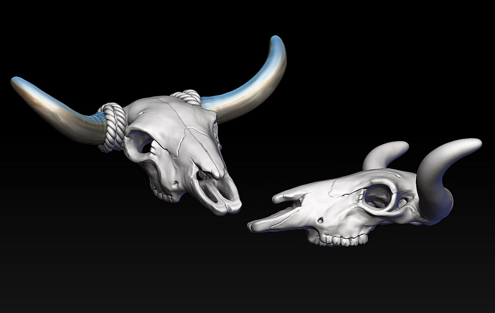 Bull Skull With Separate Horns Model - TurboSquid 2182479