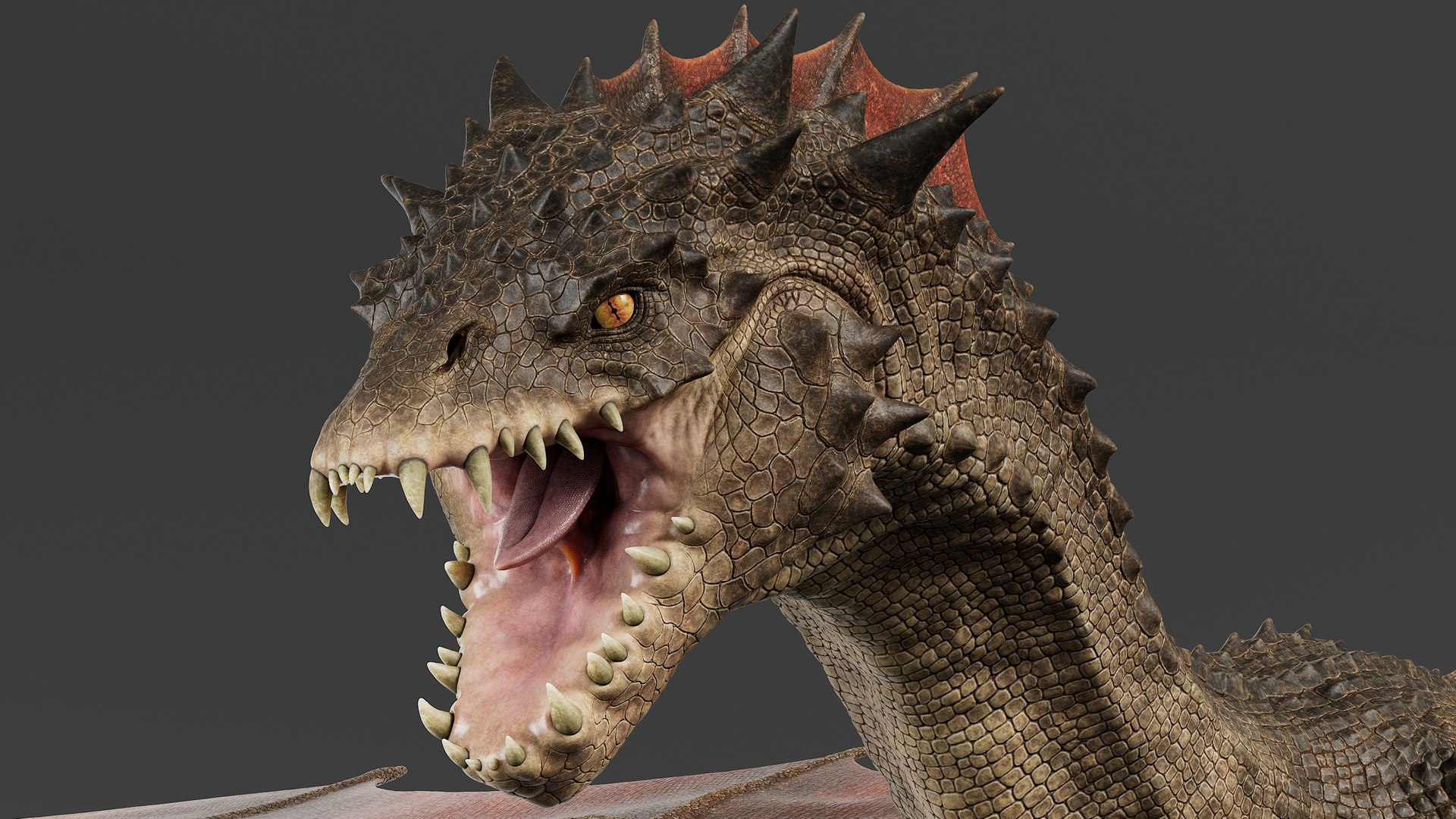 3D Model Dragon No Rig - TurboSquid 2224957