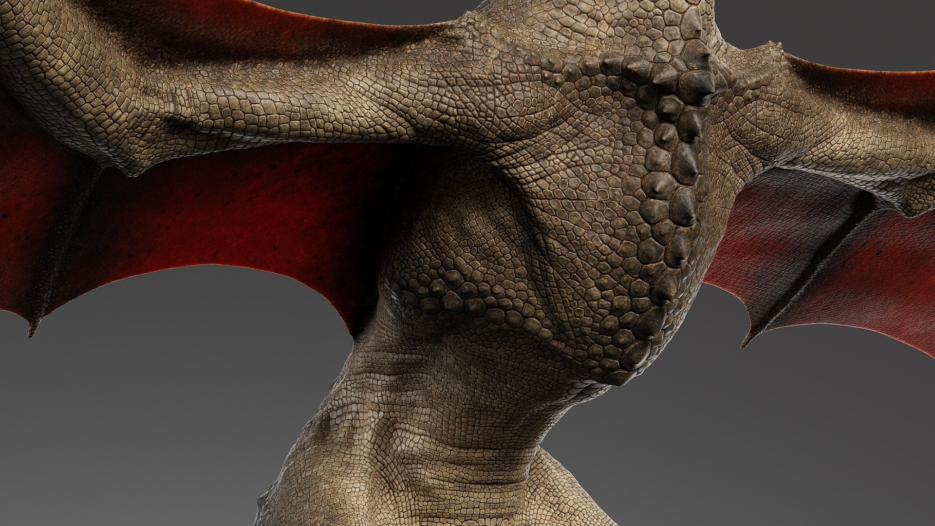 3D Model Dragon No Rig - TurboSquid 2224957