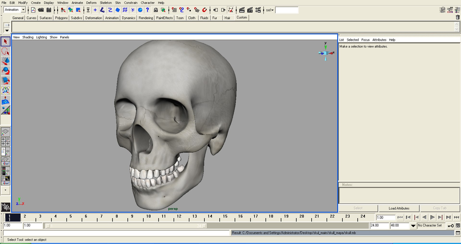 male skull 3d max