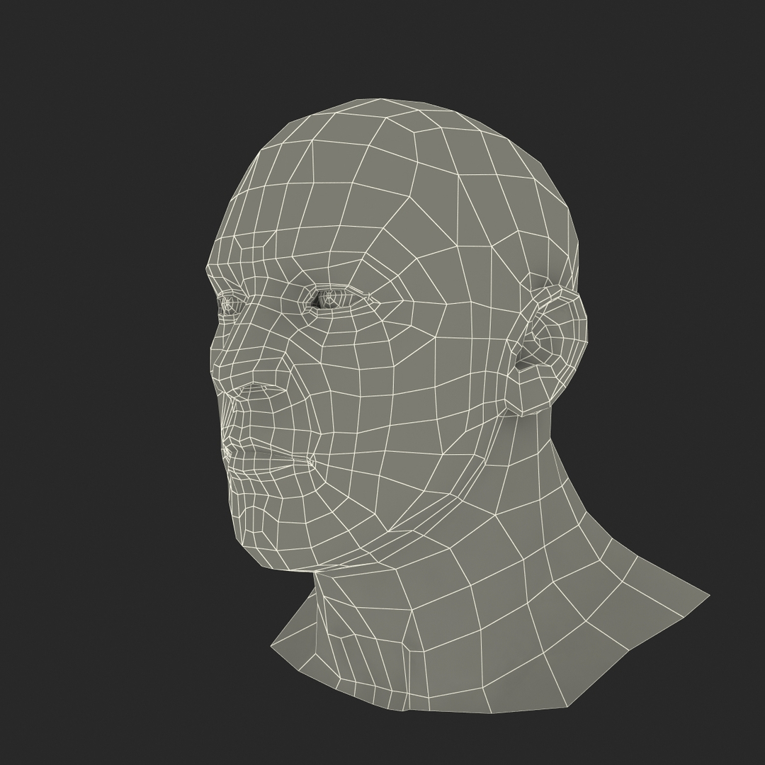 Male Head 21 3d Model
