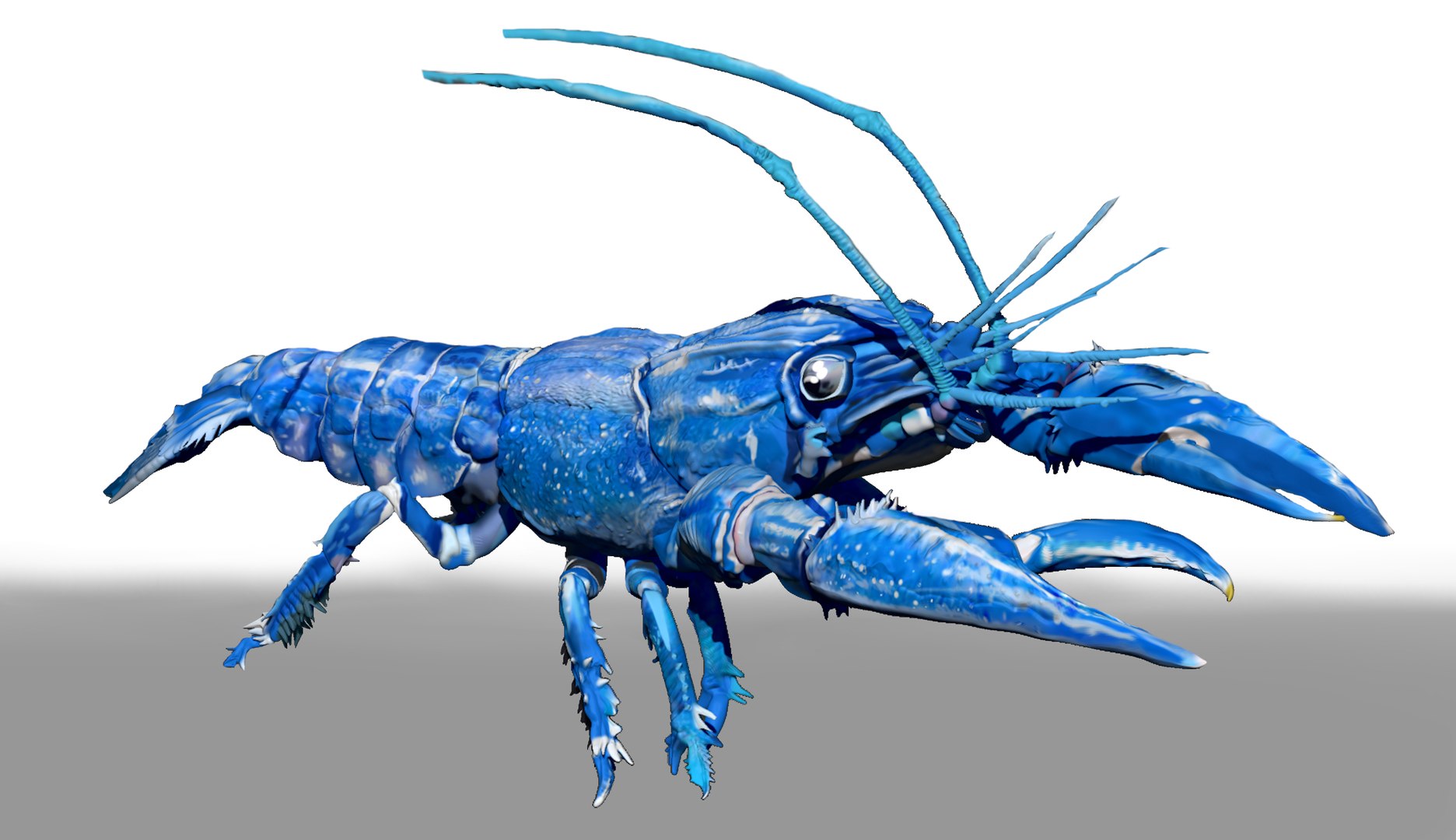 Blue Crawfish ZTL Sculpt 3D Model - TurboSquid 1736494