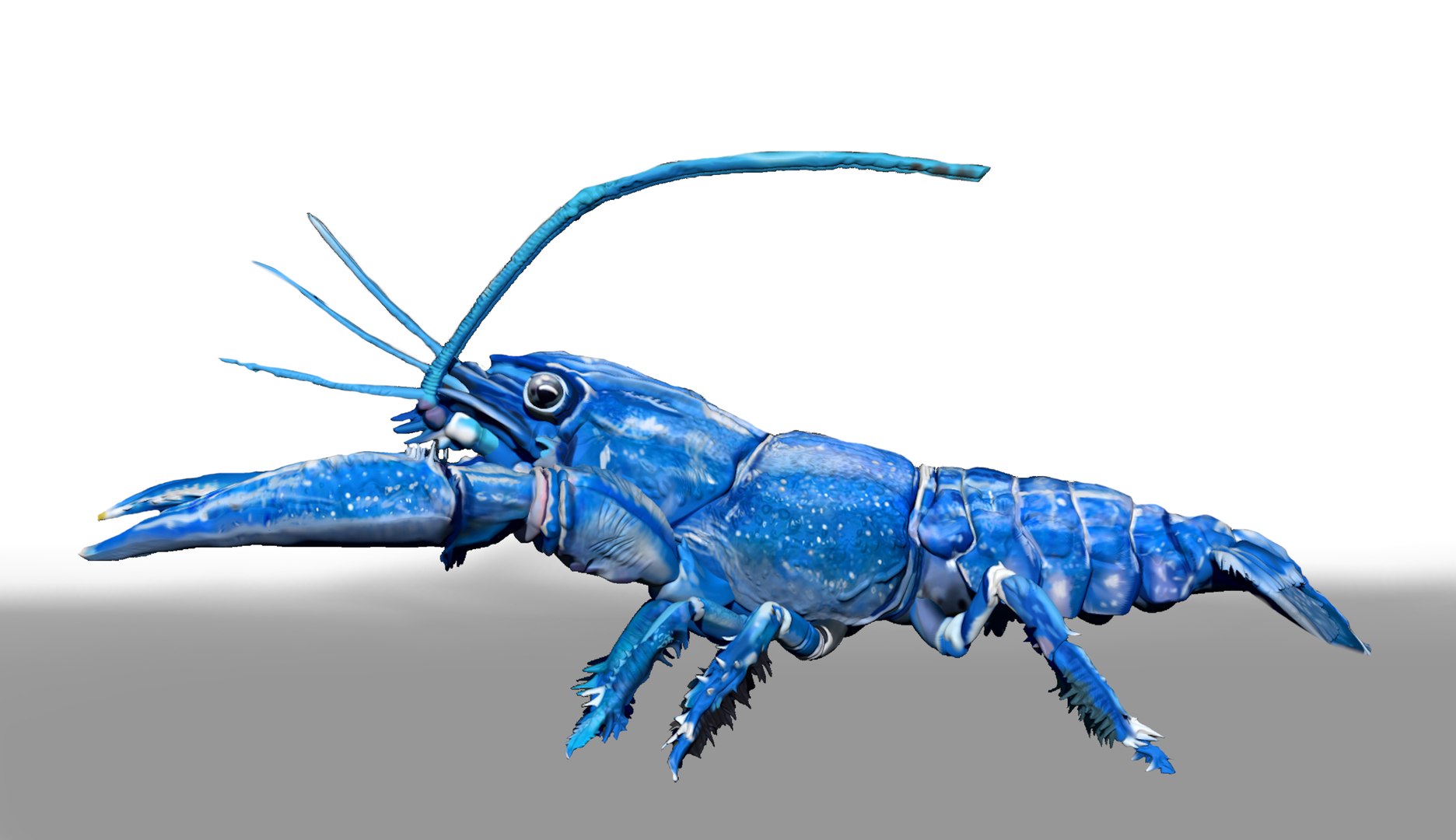 Blue Crawfish ZTL Sculpt 3D Model - TurboSquid 1736494