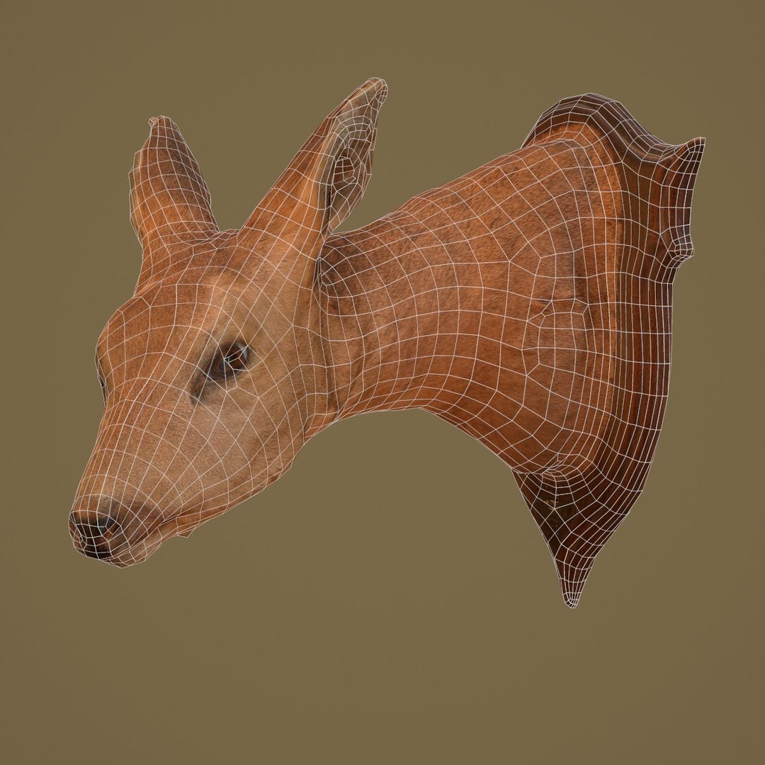 3D Animal Digital Photogrammetry - TurboSquid 1163012