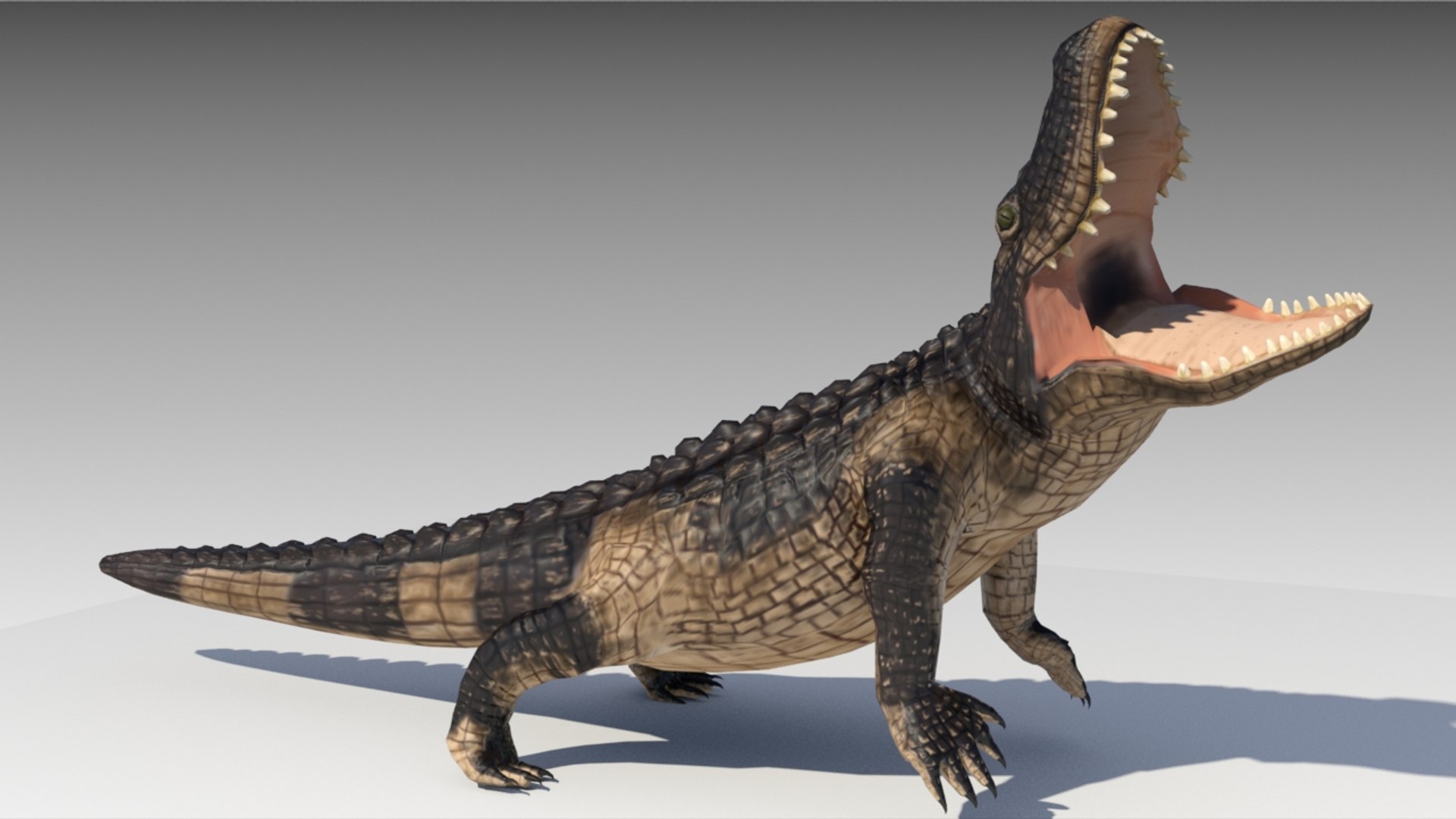 3D Alligator Animations - TurboSquid 1333734
