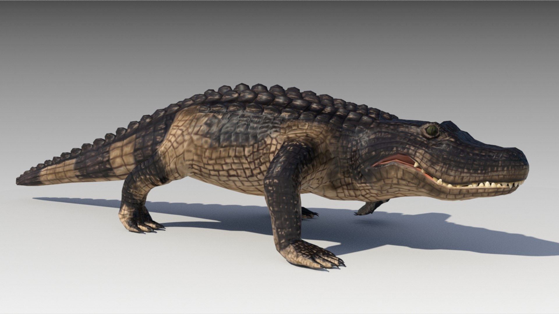 3D Alligator Animations - TurboSquid 1333734