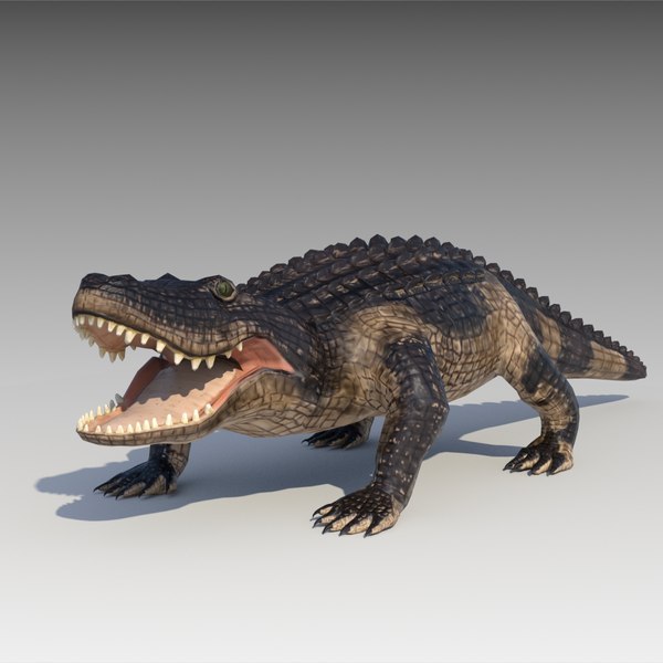 Alligator 3D Models for Download | TurboSquid