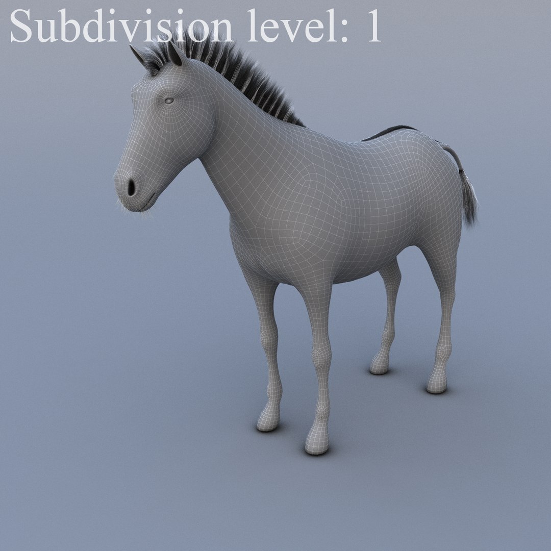 max zebra rig