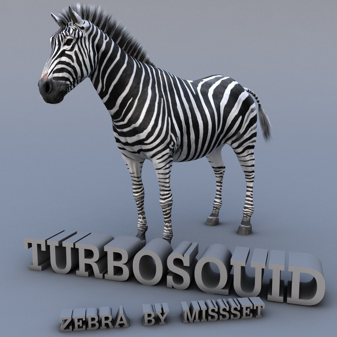 Max Zebra Rig