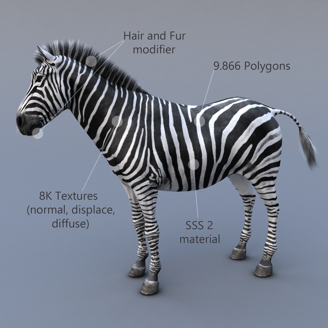 Max Zebra Rig