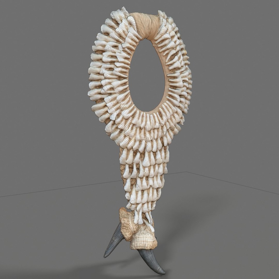 Scanned Unity 3D Model - TurboSquid 1171962