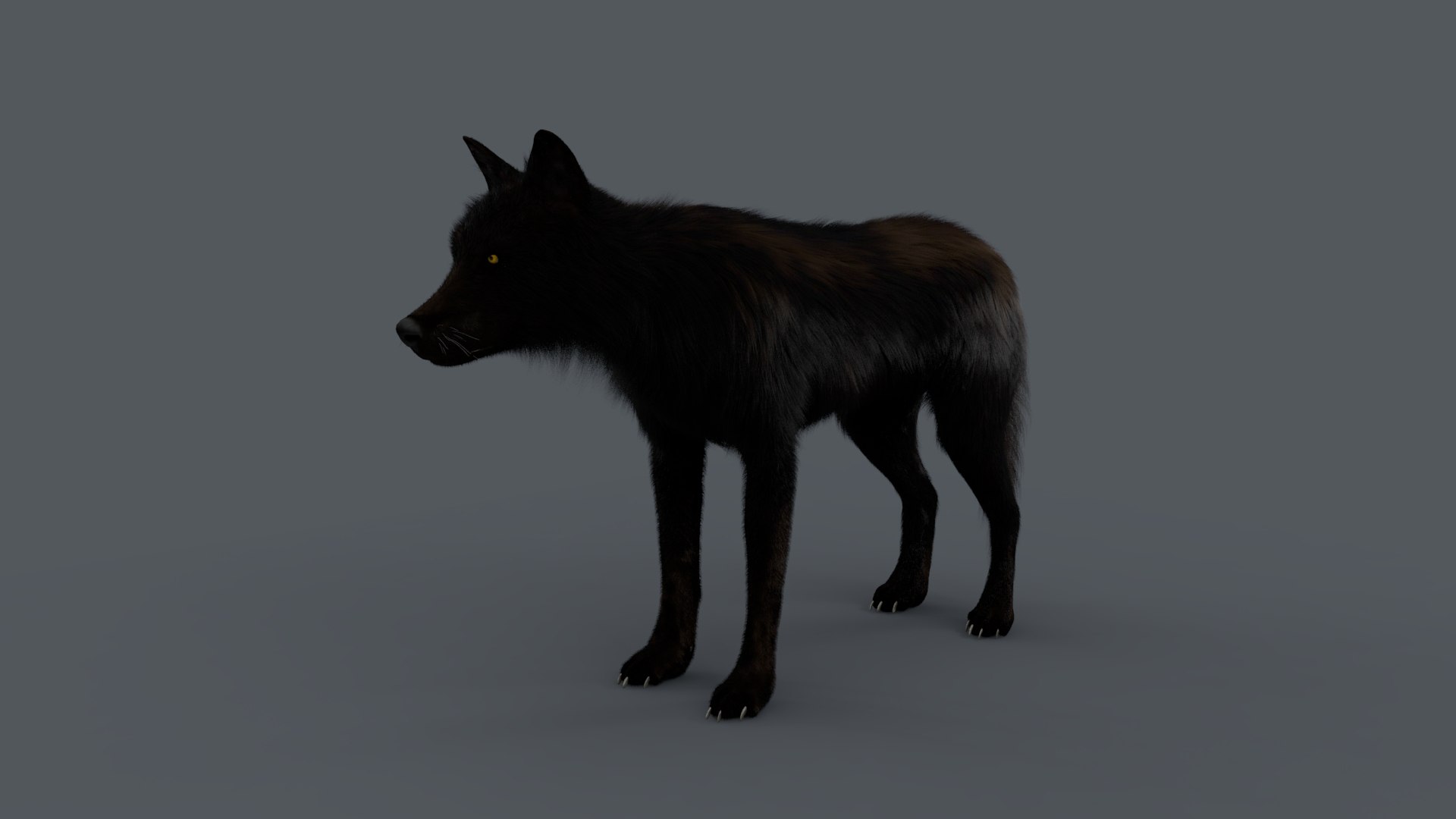 3D Wolf Fur Variations - TurboSquid 1575387