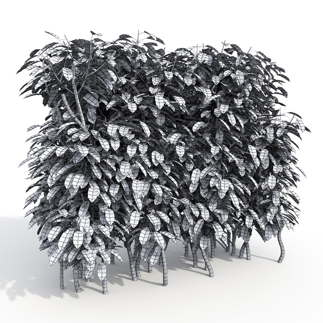 3ds Max Set Bushes