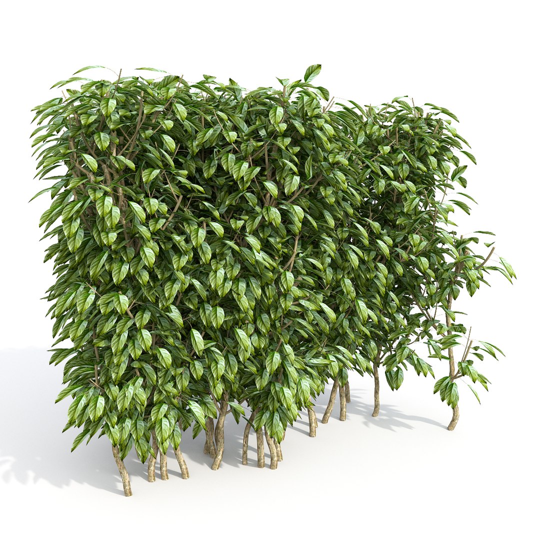 3ds Max Set Bushes